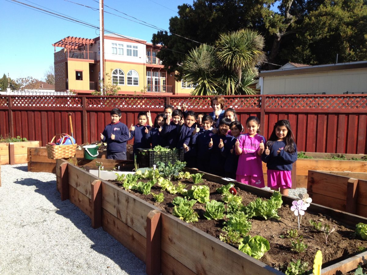 COMMUNITY GARDENS - St. Francis Center